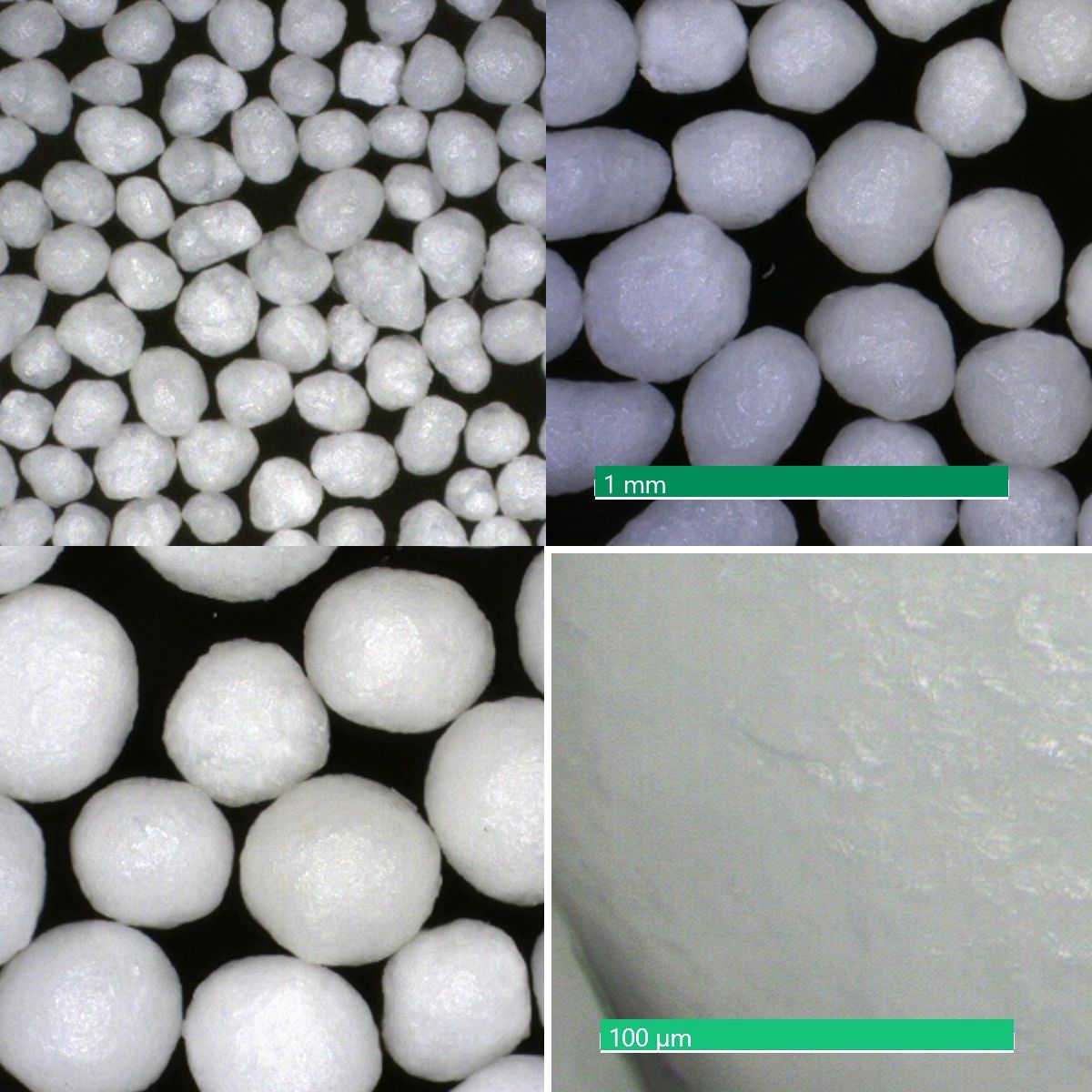 Impact of the particle size on powder behavior in Wurster process - Cellets